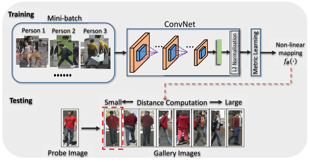 项目“###############”科普性介绍网站